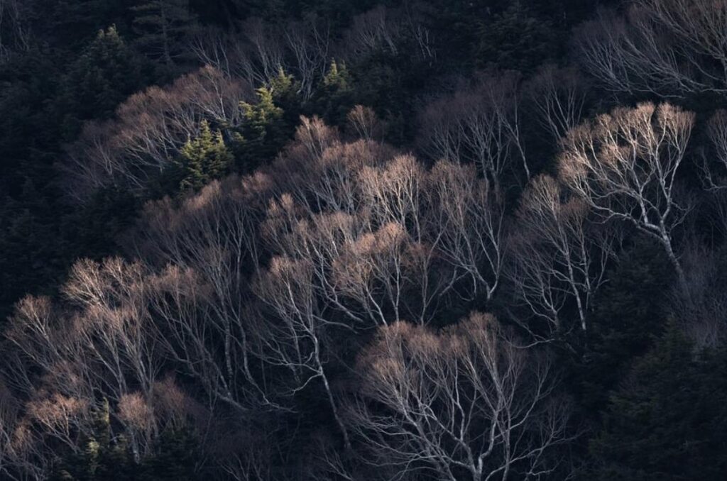 【Excel】REPT関数の使い方