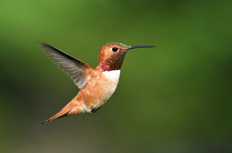 【Excel】COS関数の使い方