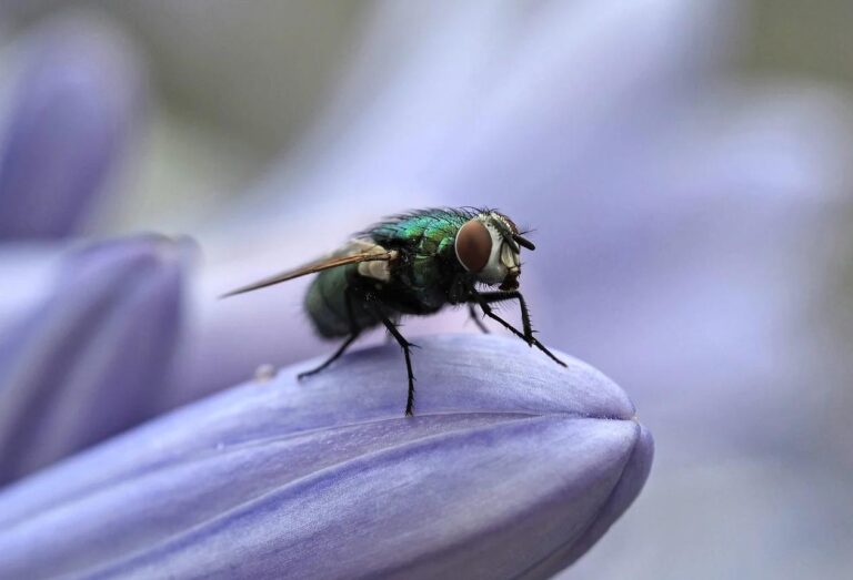 【Excel】OCT2DEC関数の使い方