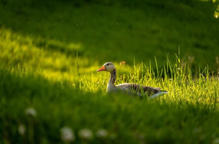 【Excel】IMCSC関数の使い方